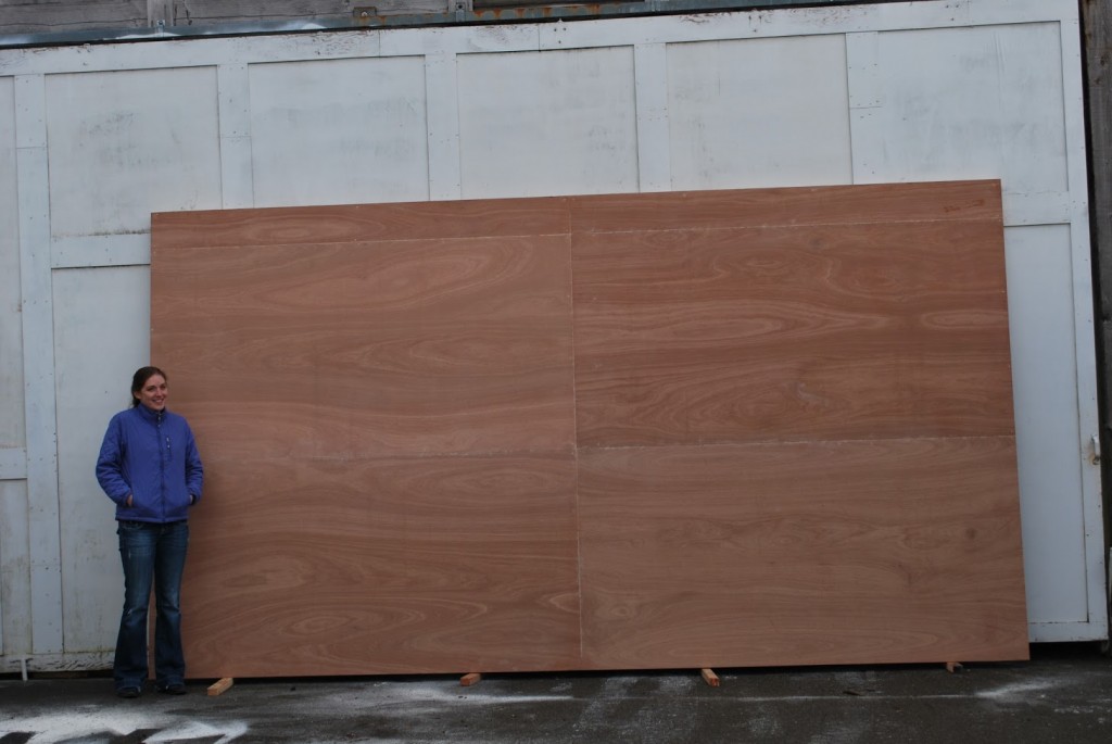 Sing Honeycomb Panels Patented Plywood | Non-warping patented wooden ...