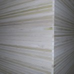 Sing Panel Gallery | Non-warping patented wooden pivot door, sliding ...