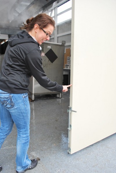 SingCore Doors | Non-warping patented wooden pivot door, sliding door ...