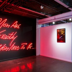 museum quality modular walls | Non-warping patented wooden pivot door ...