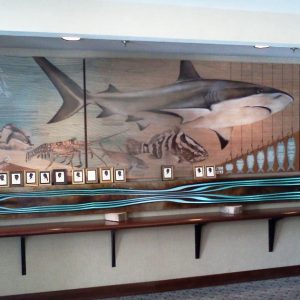 museum quality modular walls | Non-warping patented wooden pivot door ...