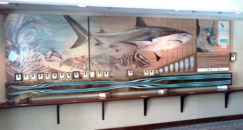 Moveable Museum Walls | Non-warping patented wooden pivot door, sliding ...