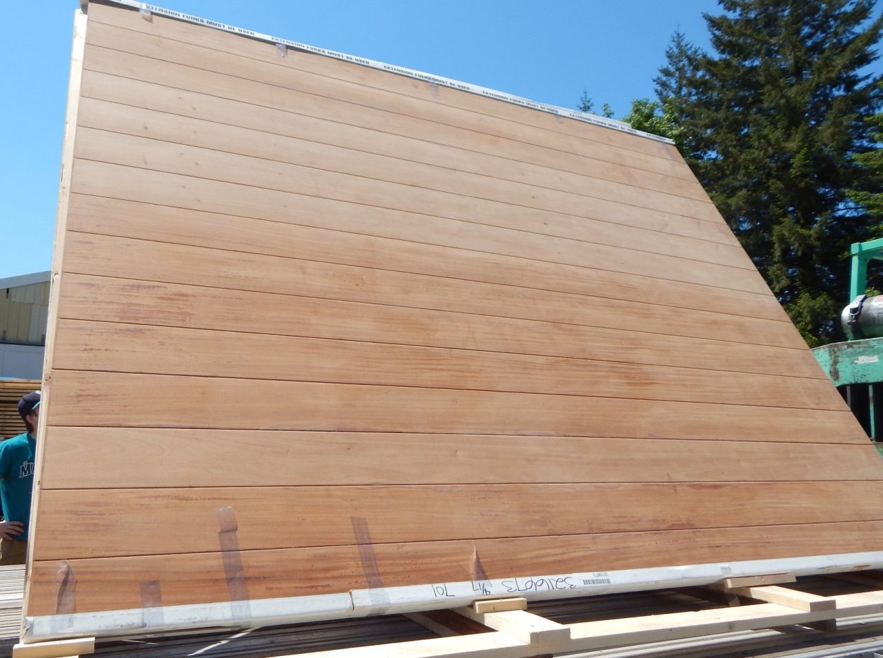 Wooden Pivot Doors - Sing Core's Wooden Pivot Doors