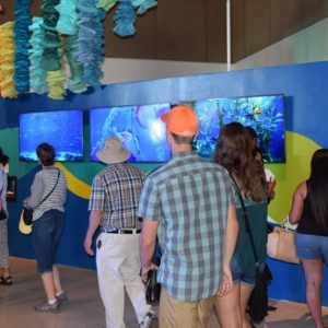 State Fair Professional Modular Display Wall System and Service | Non ...