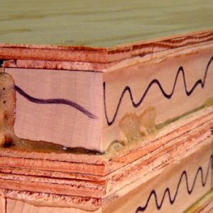 Door Design Options | Non-warping patented wooden pivot door, sliding ...