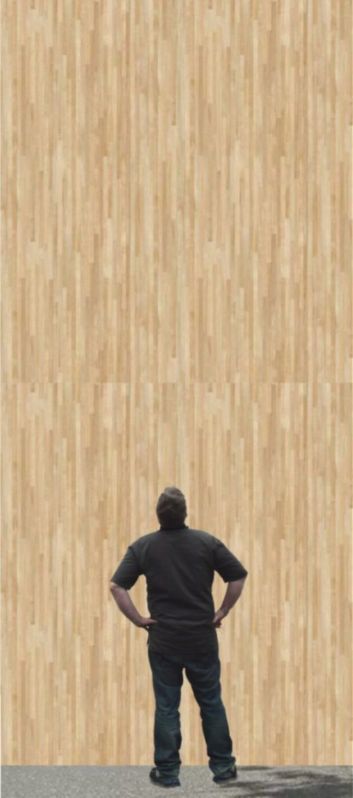 New Generation of Wood Doors | Non-warping patented wooden pivot door ...