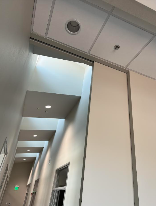 Hidden Sing Core Pocket Doors | Non-warping patented wooden pivot door ...